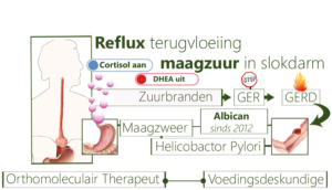 Maagreflux door stress, verhongering, diabetes GER en GERD