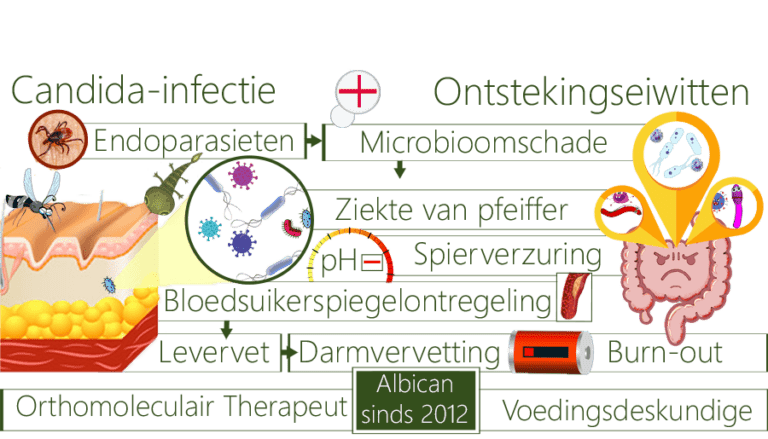 Een candida-infectie kan de stress-drempel verlagen