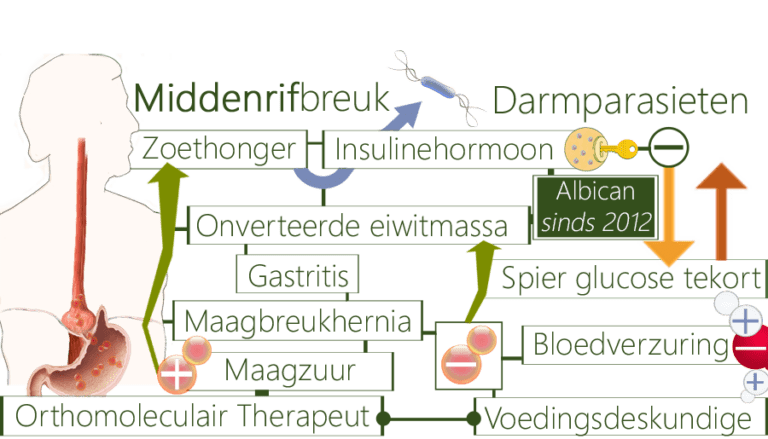Een middenrifbreuk, maagzuuroprisping als gevolg van eiwitresten
